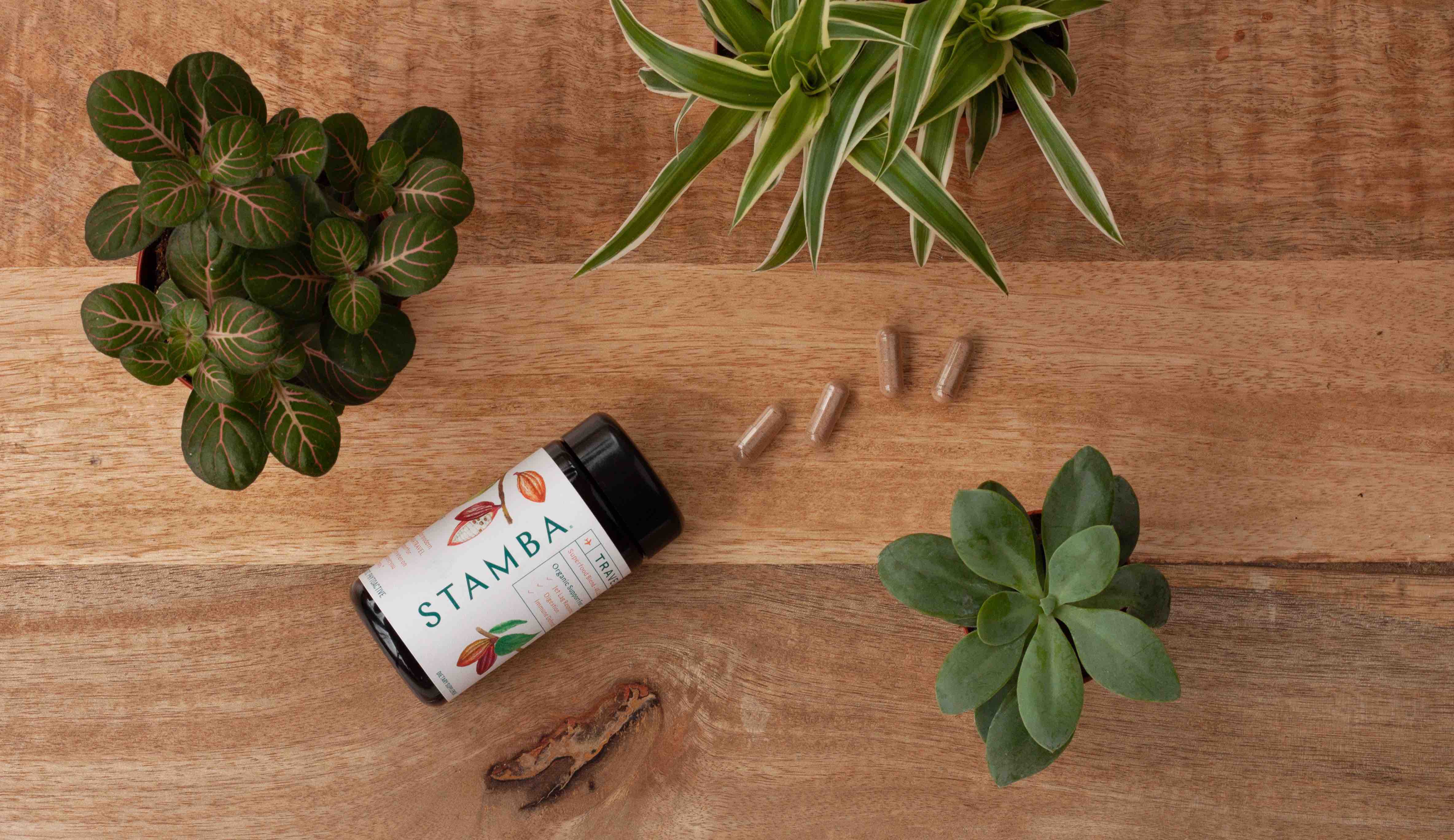 New Clean Beauty And Wellness VC Firm Sekhmet Ventures Launches With ...