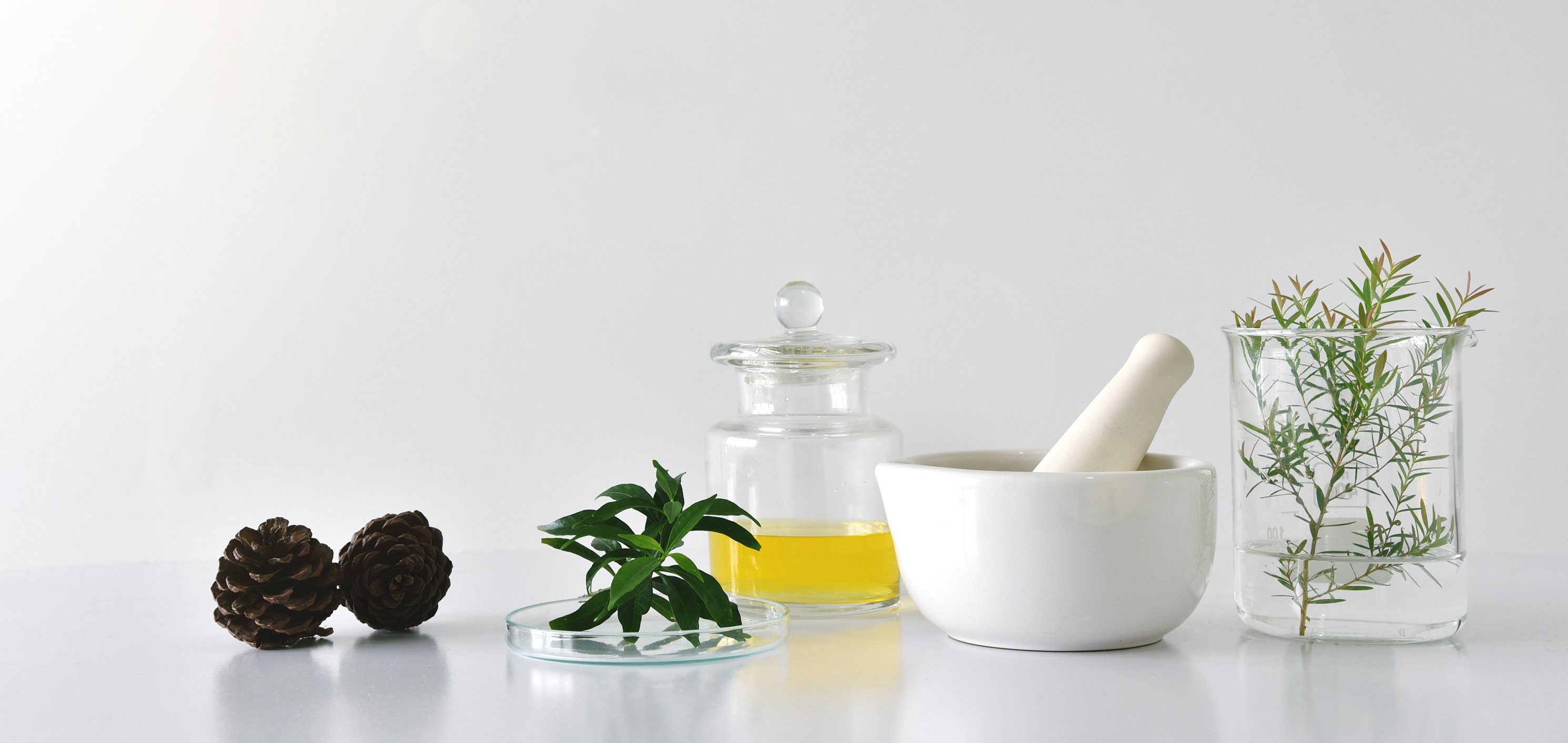 Seven Beauty Ingredients Particularly Relevant Right Now | Beauty ...