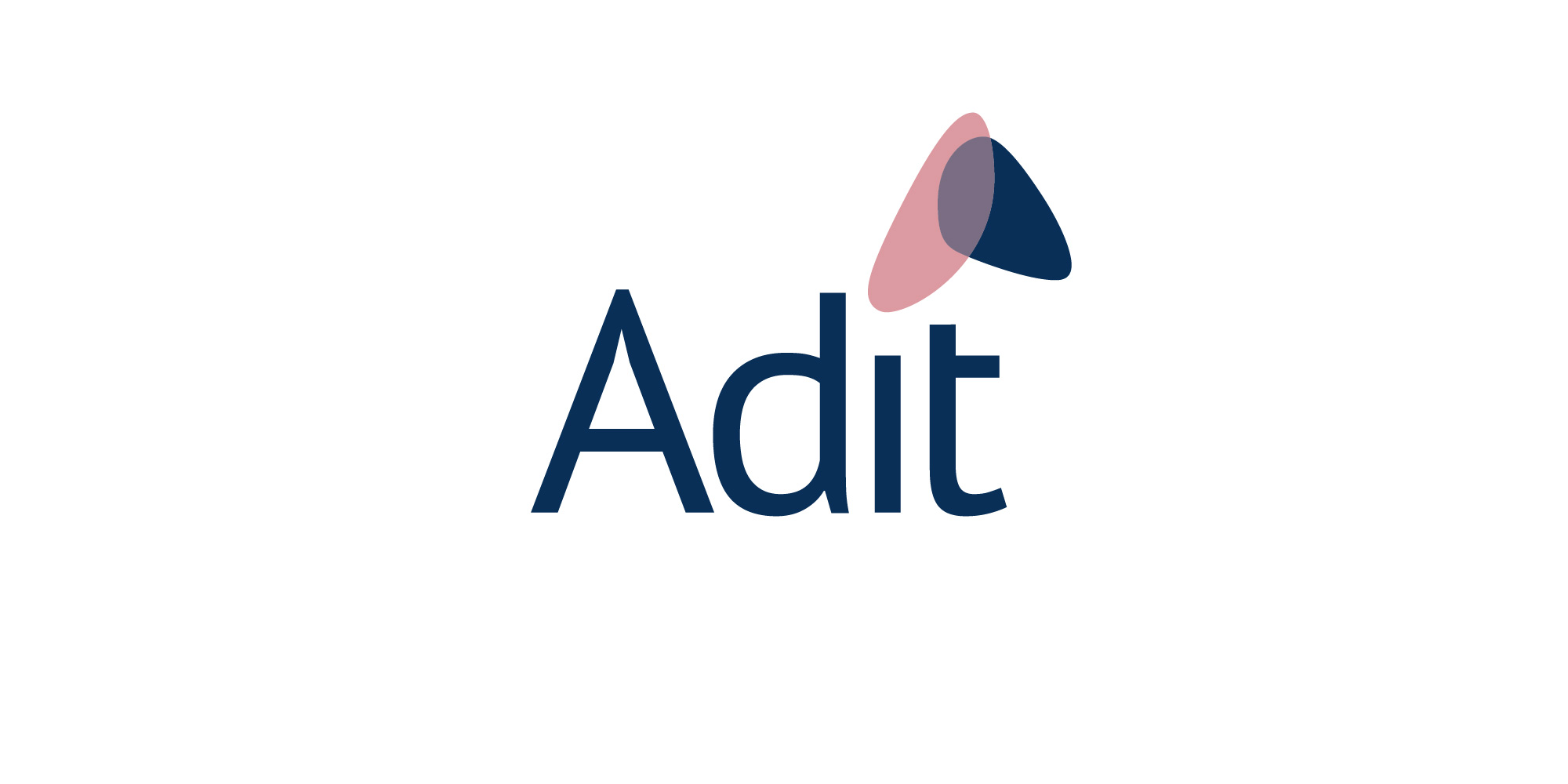 IBMG’s New Adit Service Positions Brands For Success At Major Retailers ...