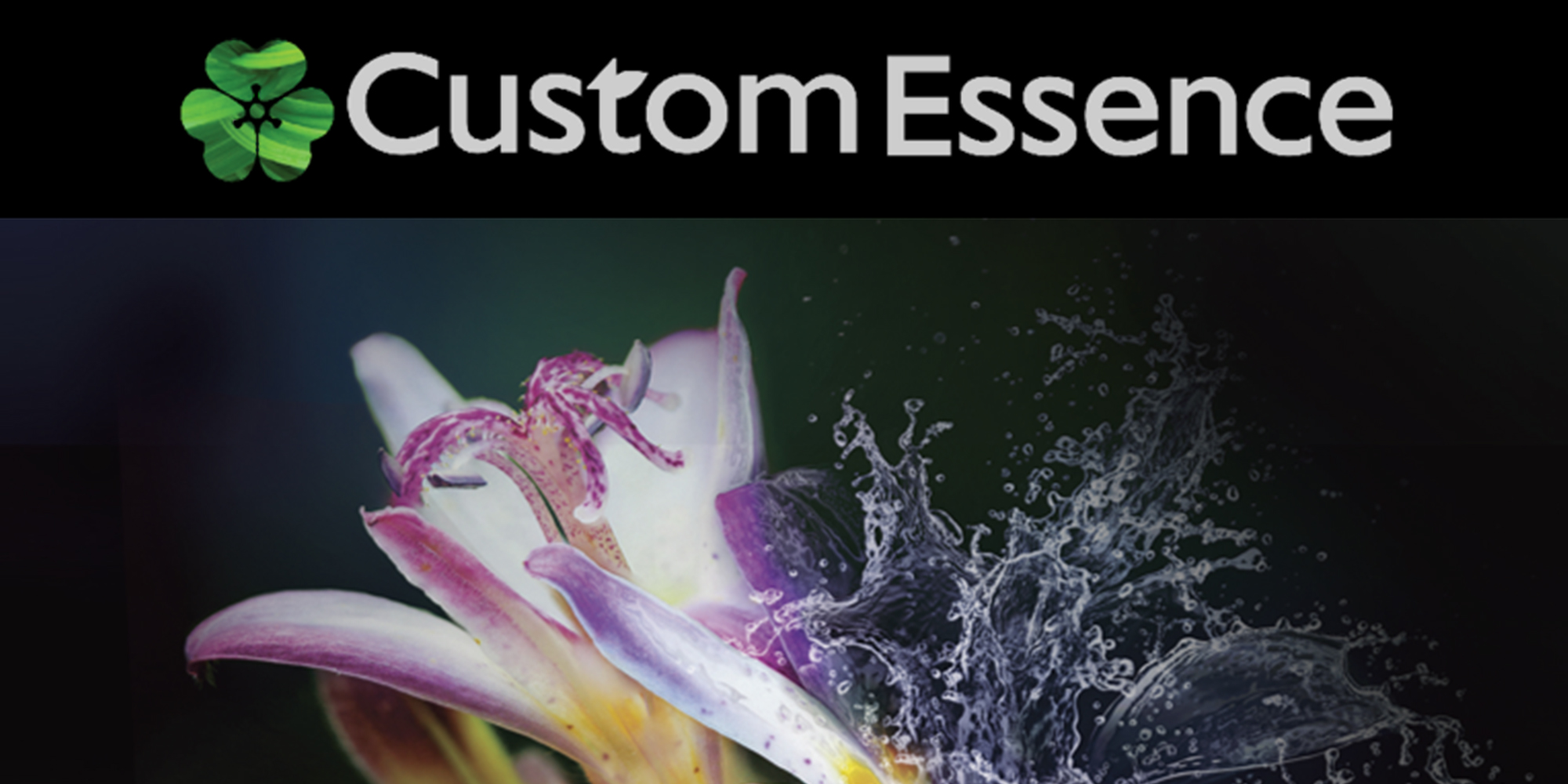 How Custom Essence Drives The Fragrance Category With Natural ...