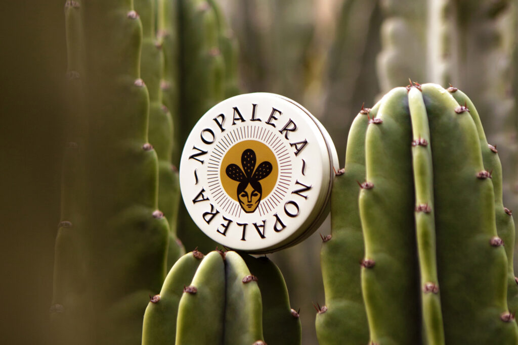 “The Mexican Martha Stewart”: How Sandra Velasquez Is Building Nopalera ...