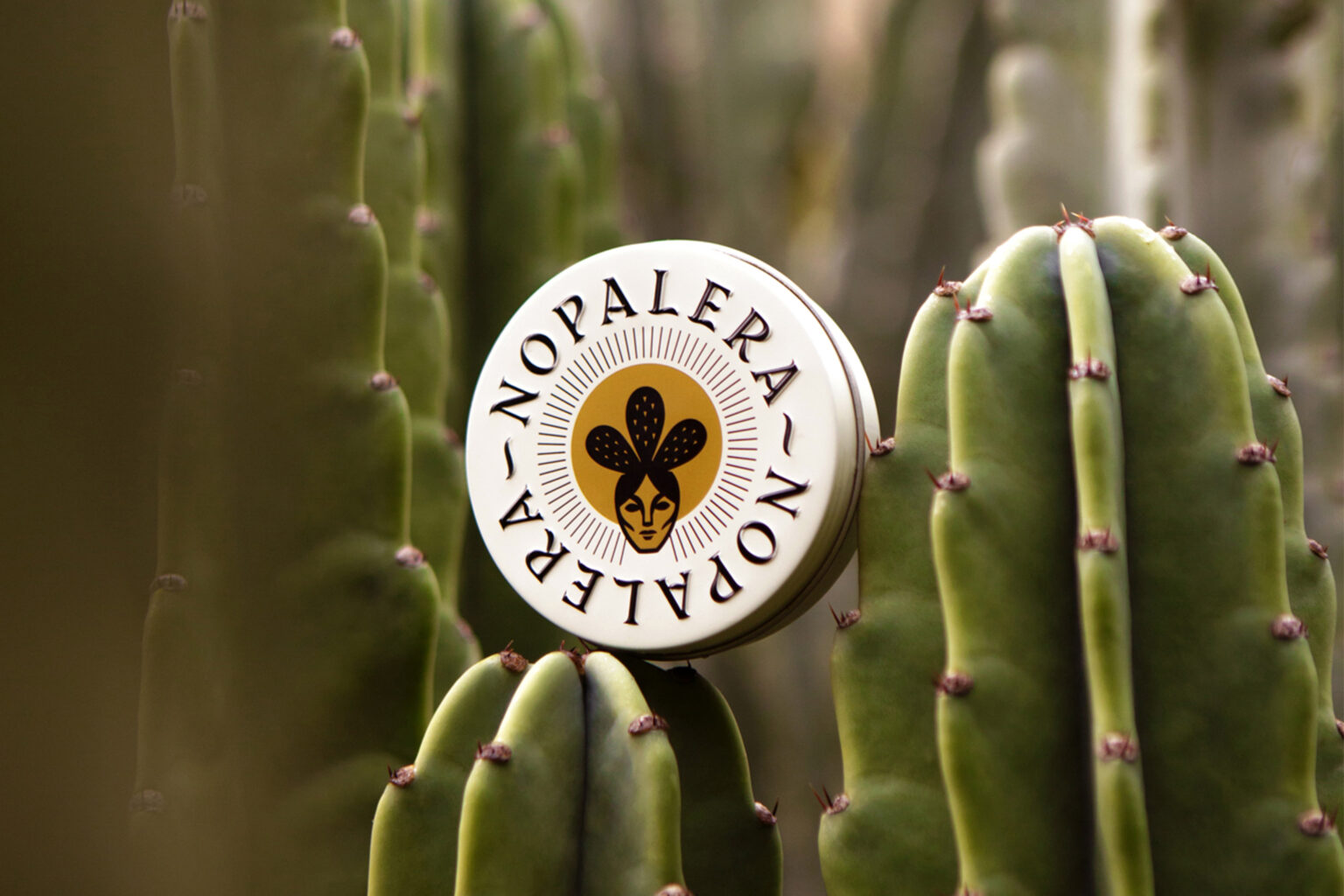 “The Mexican Martha Stewart”: How Sandra Velasquez Is Building Nopalera ...