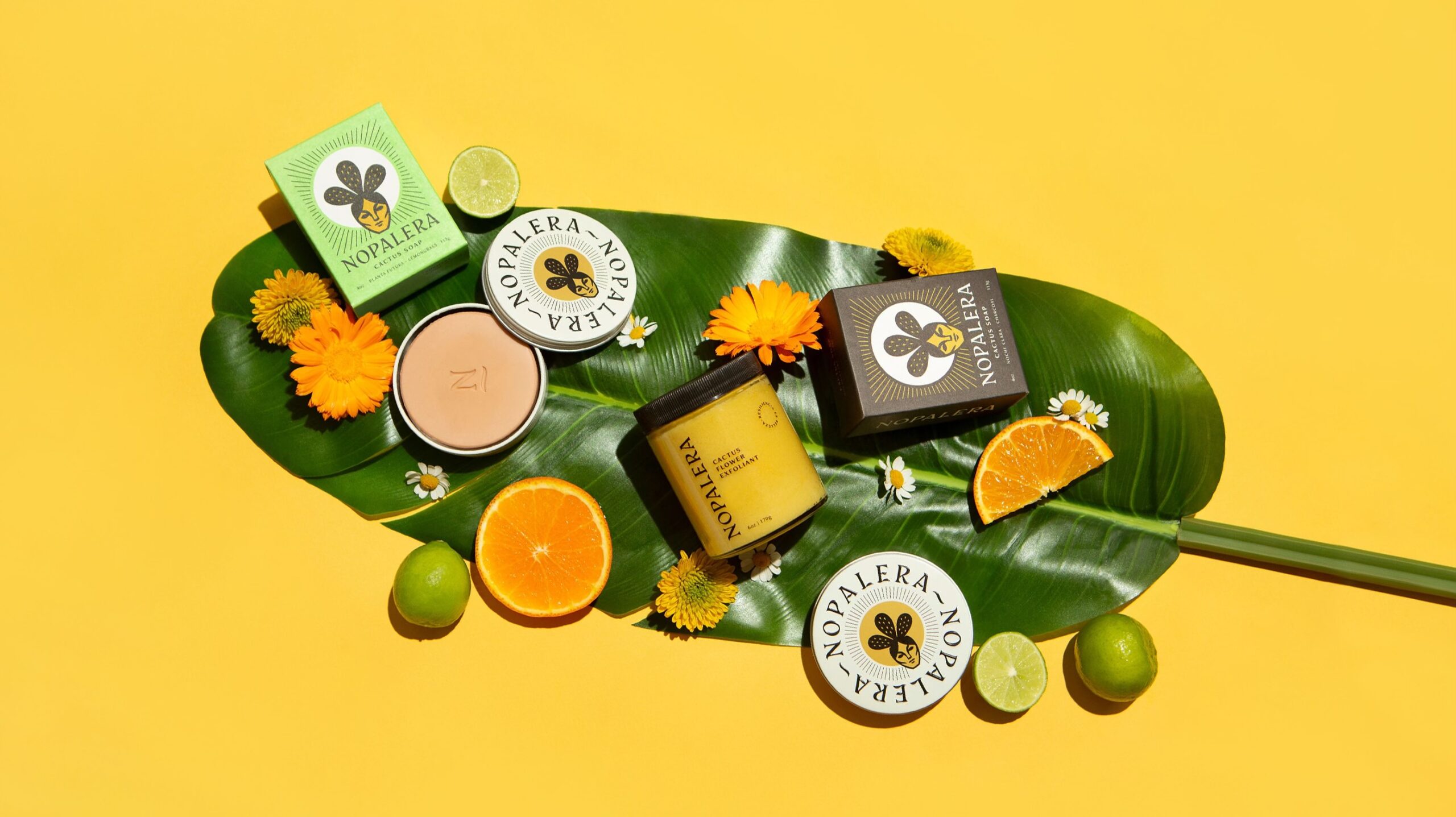 Nopalera Raises $2.7M In Seed Funding To Further Its Mission Of Making ...